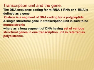 Molecular basis of inheritance-Protein synthesis part 1 ...