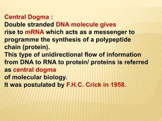 Molecular basis of inheritance-Protein synthesis part 1 ...