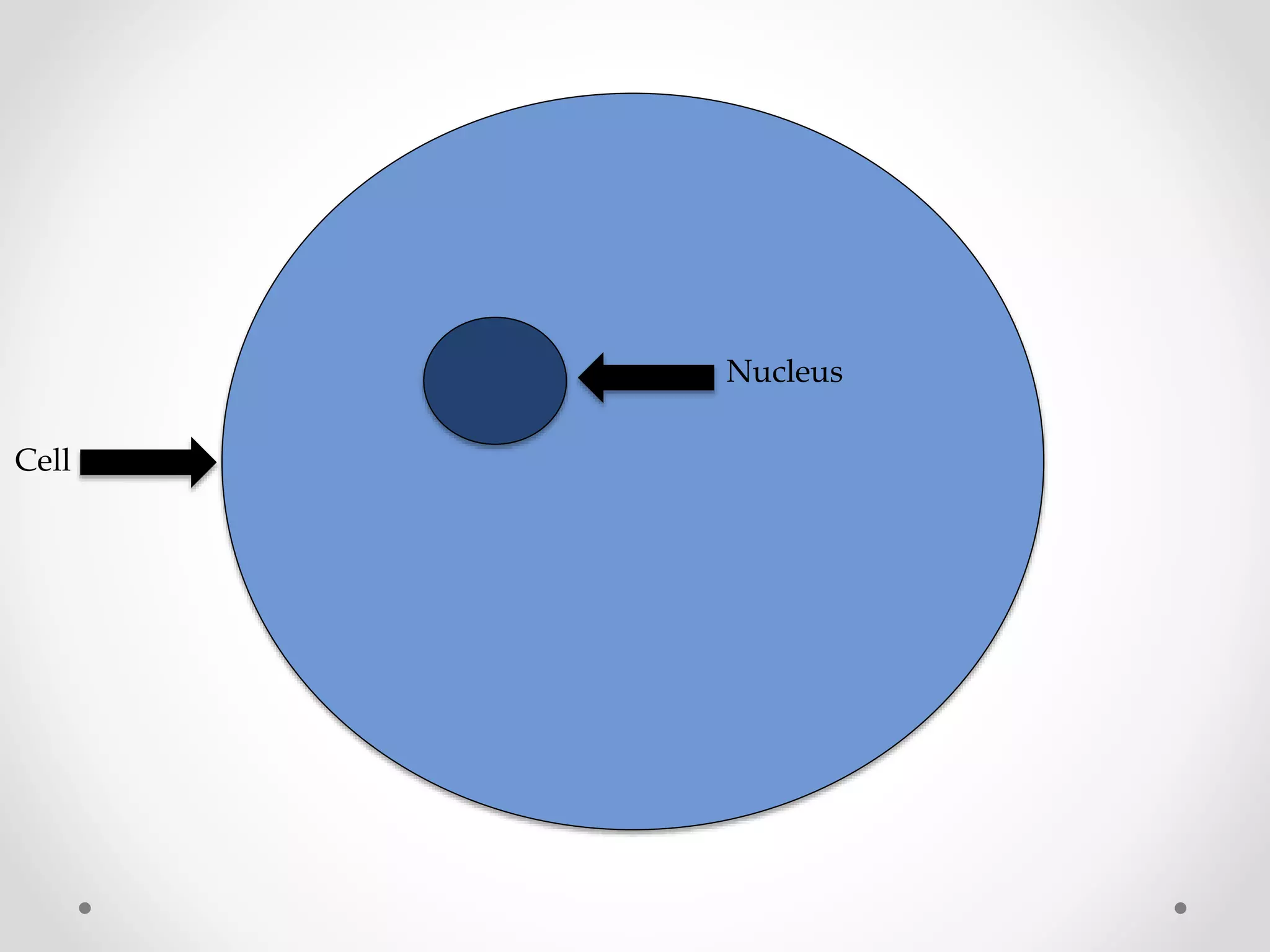 Kshoemaker Protein synthesis project | PPTX