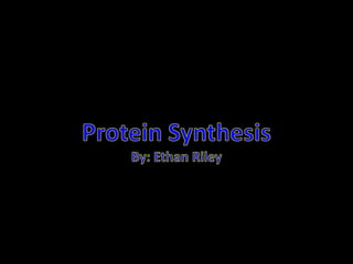 Protein synthesis project | PPT