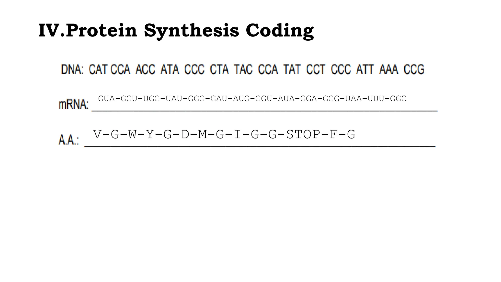 Grade 10 Quarter 4 Protein Synthesis Quiz.pptx