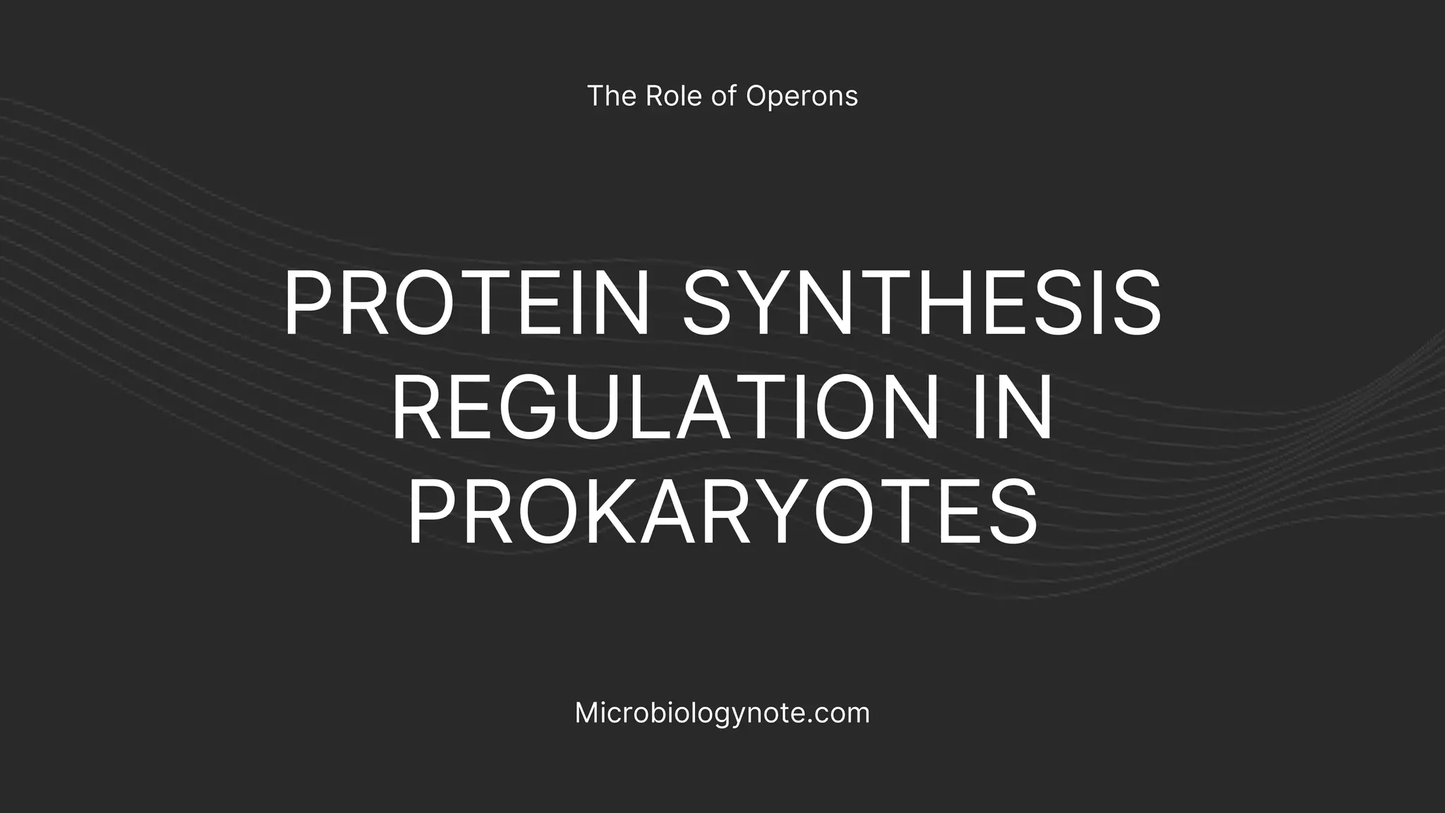 Protein Synthesis Regulation in Prokaryotes.pptx