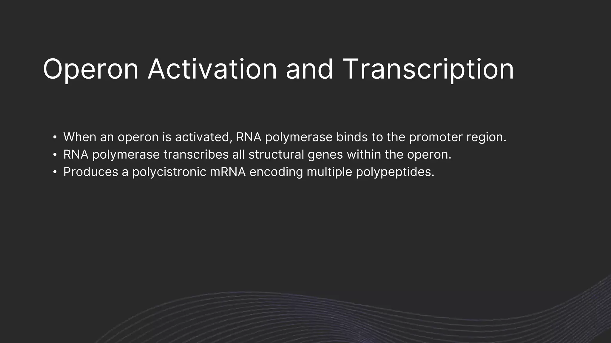 Protein Synthesis Regulation in Prokaryotes.pptx