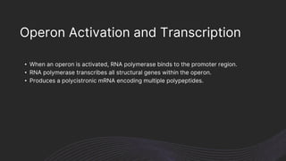Protein Synthesis Regulation in Prokaryotes.pptx