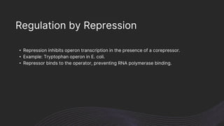 Protein Synthesis Regulation in Prokaryotes.pptx