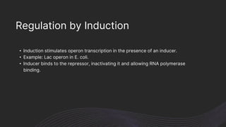 Protein Synthesis Regulation in Prokaryotes.pptx