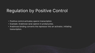 Protein Synthesis Regulation in Prokaryotes.pptx