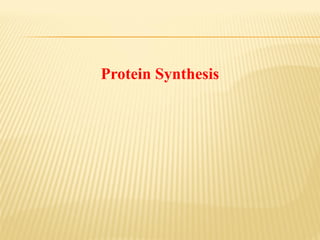Protein synthesis ribosome | PPT
