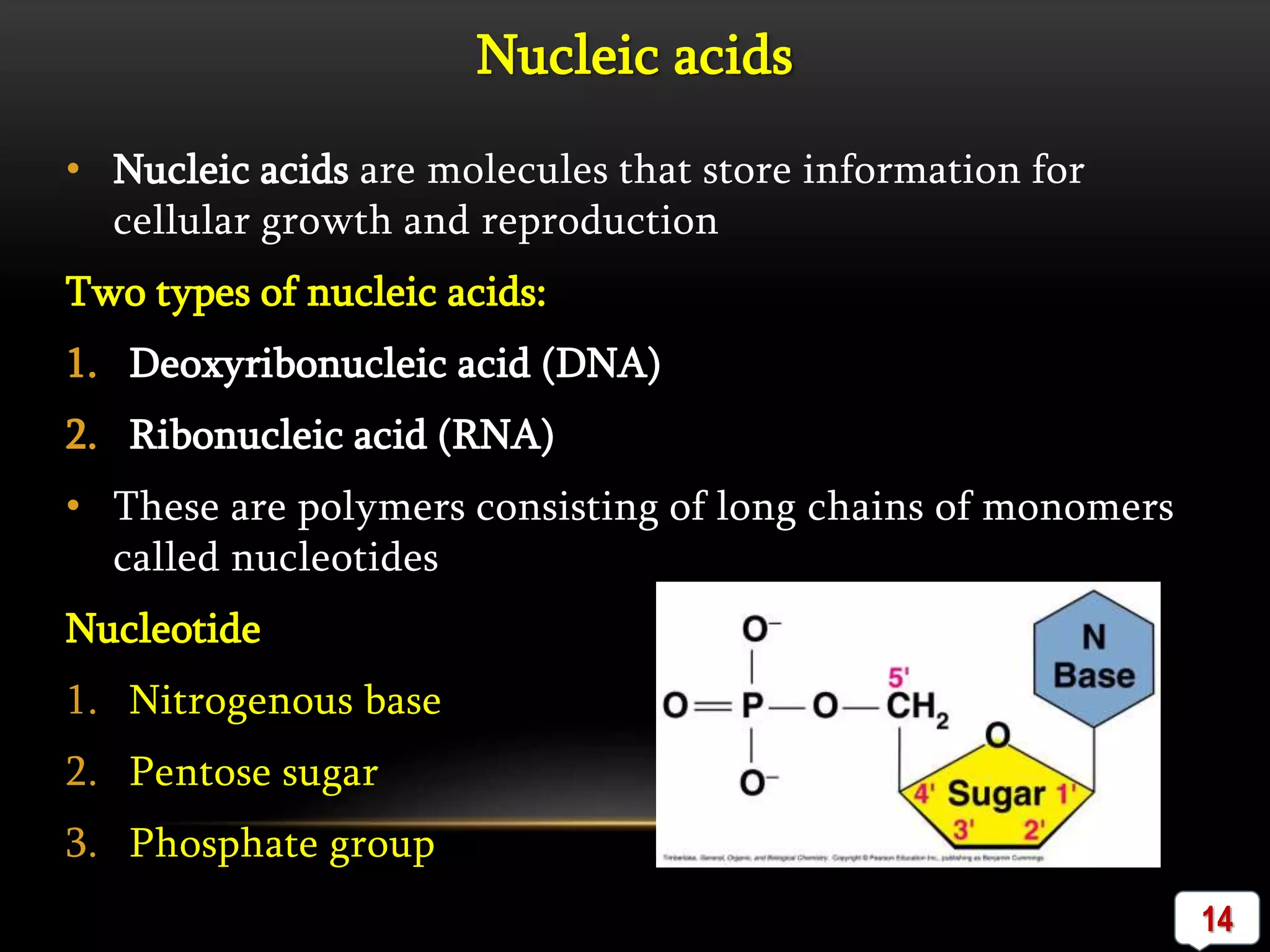 Protein synthesis, Structure and types of Nucleic.pptx