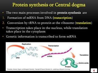 Protein synthesis, Structure and types of Nucleic.pptx