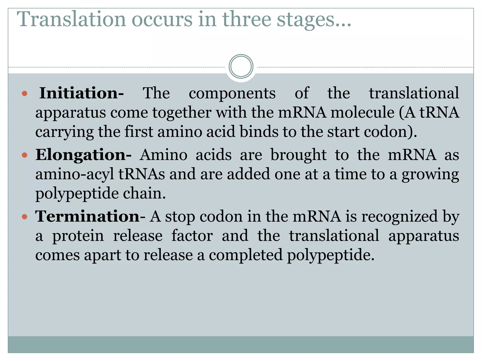 Protein synthesis(translation) | PPTX