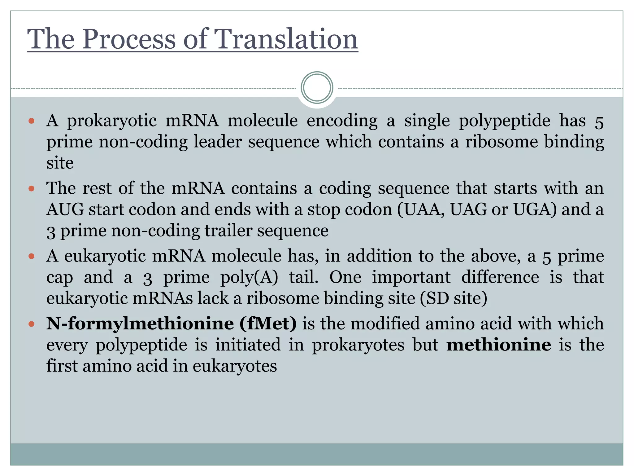 Protein synthesis(translation) | PPTX