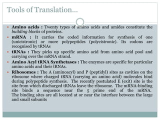 Protein synthesis(translation) | PPTX