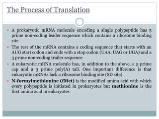 Protein synthesis(translation) | PPTX