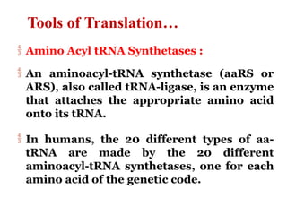 Protein synthesis translation in prokaryotes - SS.pptx
