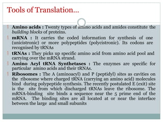 Protein synthesis translation in prokaryotes - SS.pptx