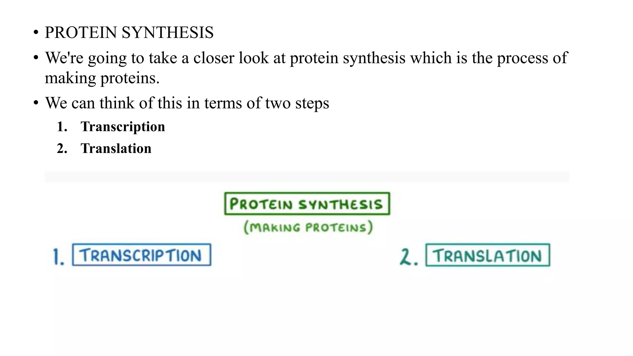 Protein synthsis | PPT