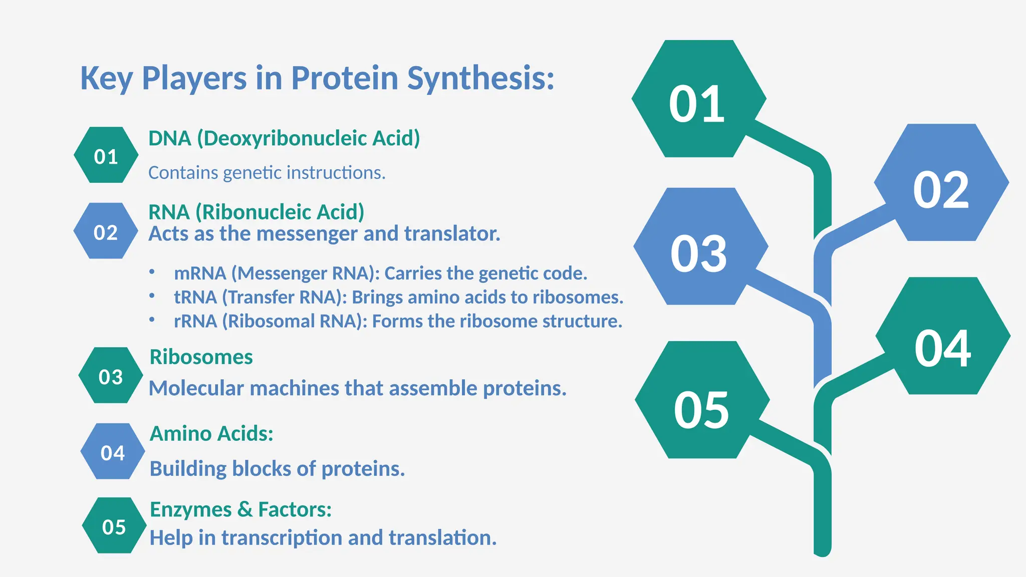 PROTEIN SYSNTHESIS PPTmmmm 102 FINAL.pptx