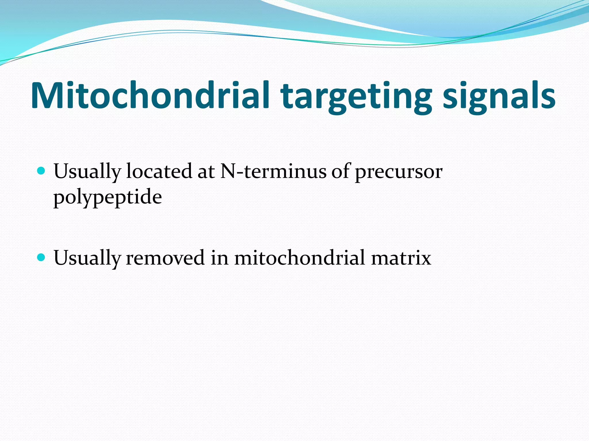 Protein targeting | PPTX