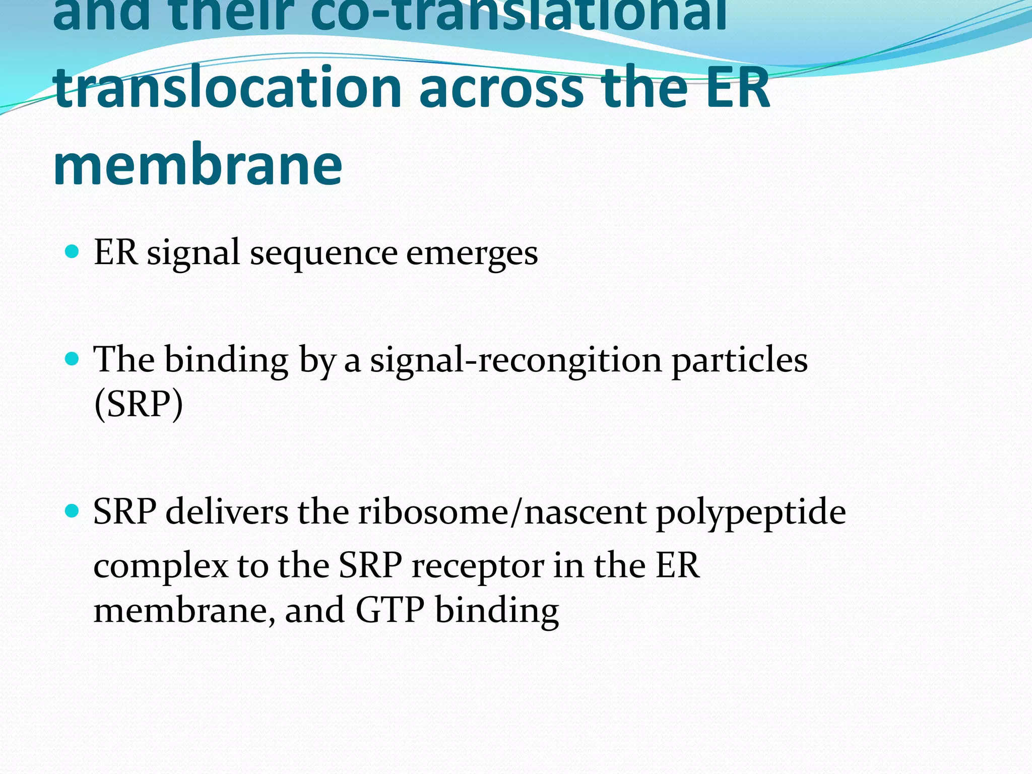 Protein targeting | PPTX