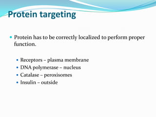 Protein targeting | PPTX
