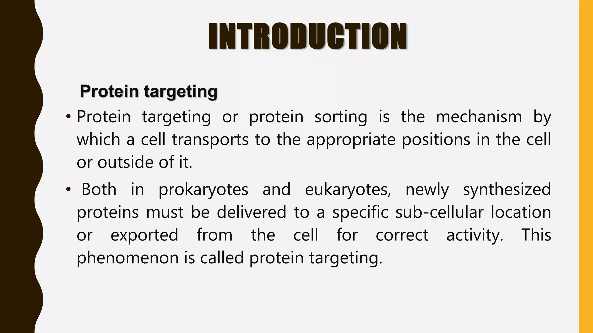 Protein targeting or translocation of proteins | PPTX