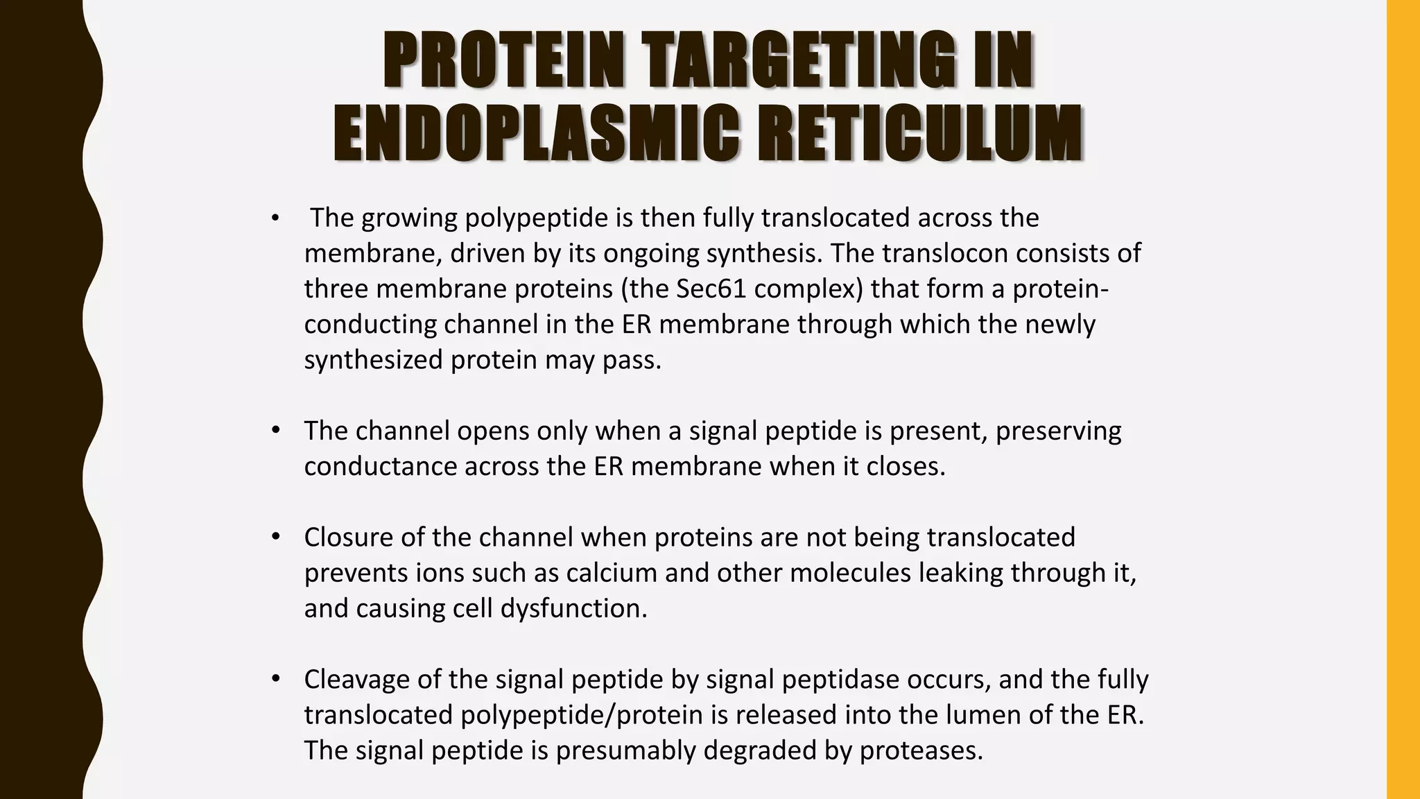 Protein targeting or translocation of proteins | PPTX