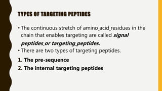 Protein targeting or translocation of proteins | PPTX