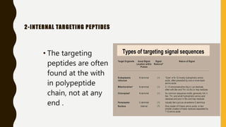 Protein targeting or translocation of proteins | PPTX