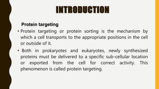 Protein targeting or translocation of proteins | PPTX
