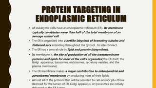 Protein targeting or translocation of proteins | PPTX
