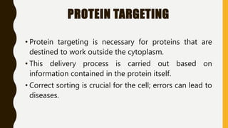 Protein targeting or translocation of proteins | PPTX