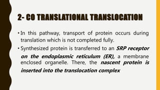 Protein targeting or translocation of proteins | PPTX