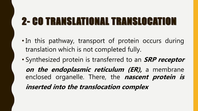 Protein targeting or translocation of proteins | PPTX