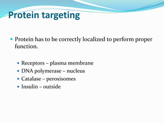 Protein targeting.pptx