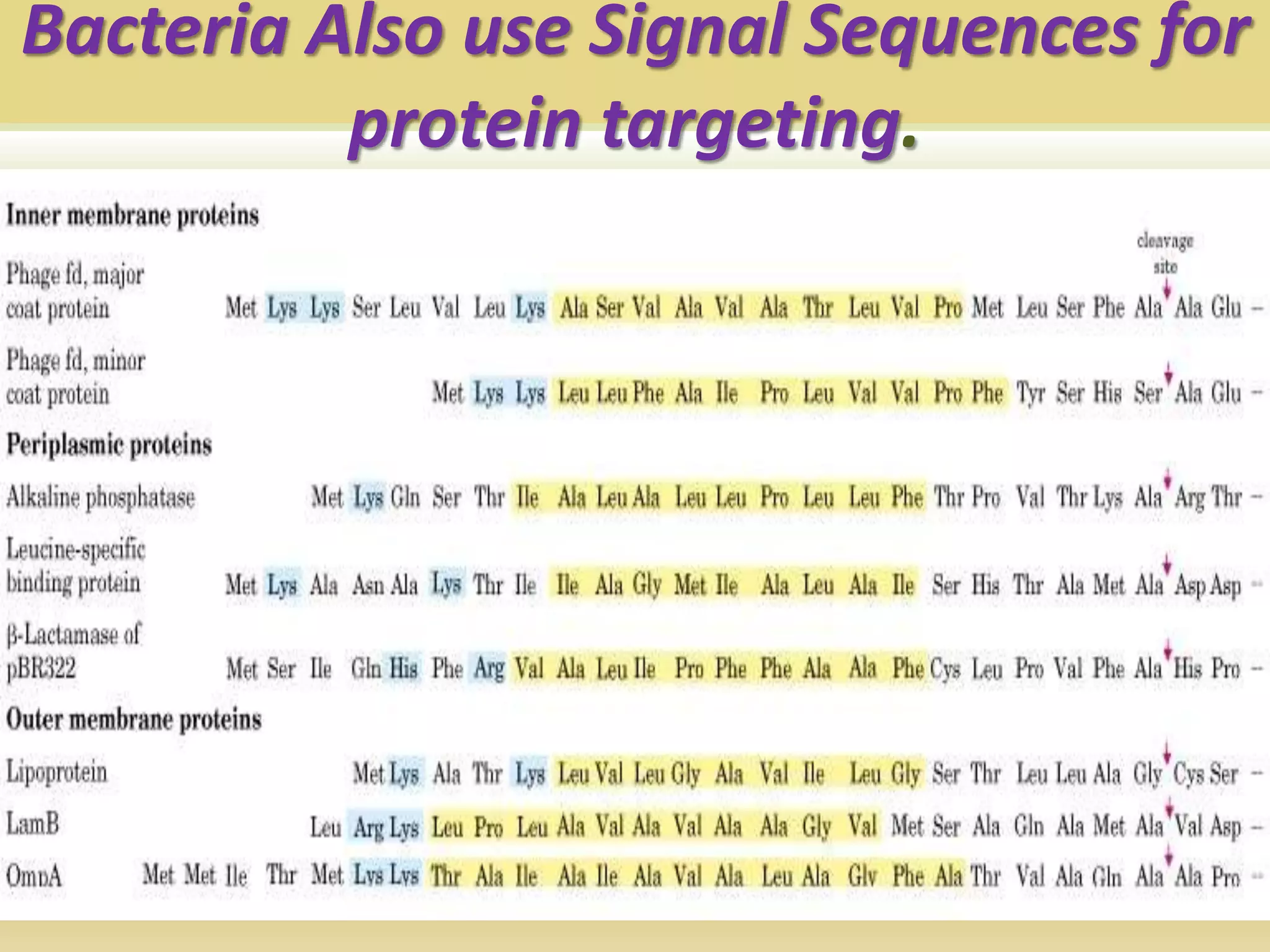 Protein targeting ajay | PPTX