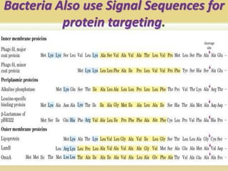 Protein targeting ajay | PPTX