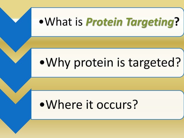 Protein targeting ajay | PPTX