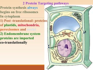 Protein targetting | PPT