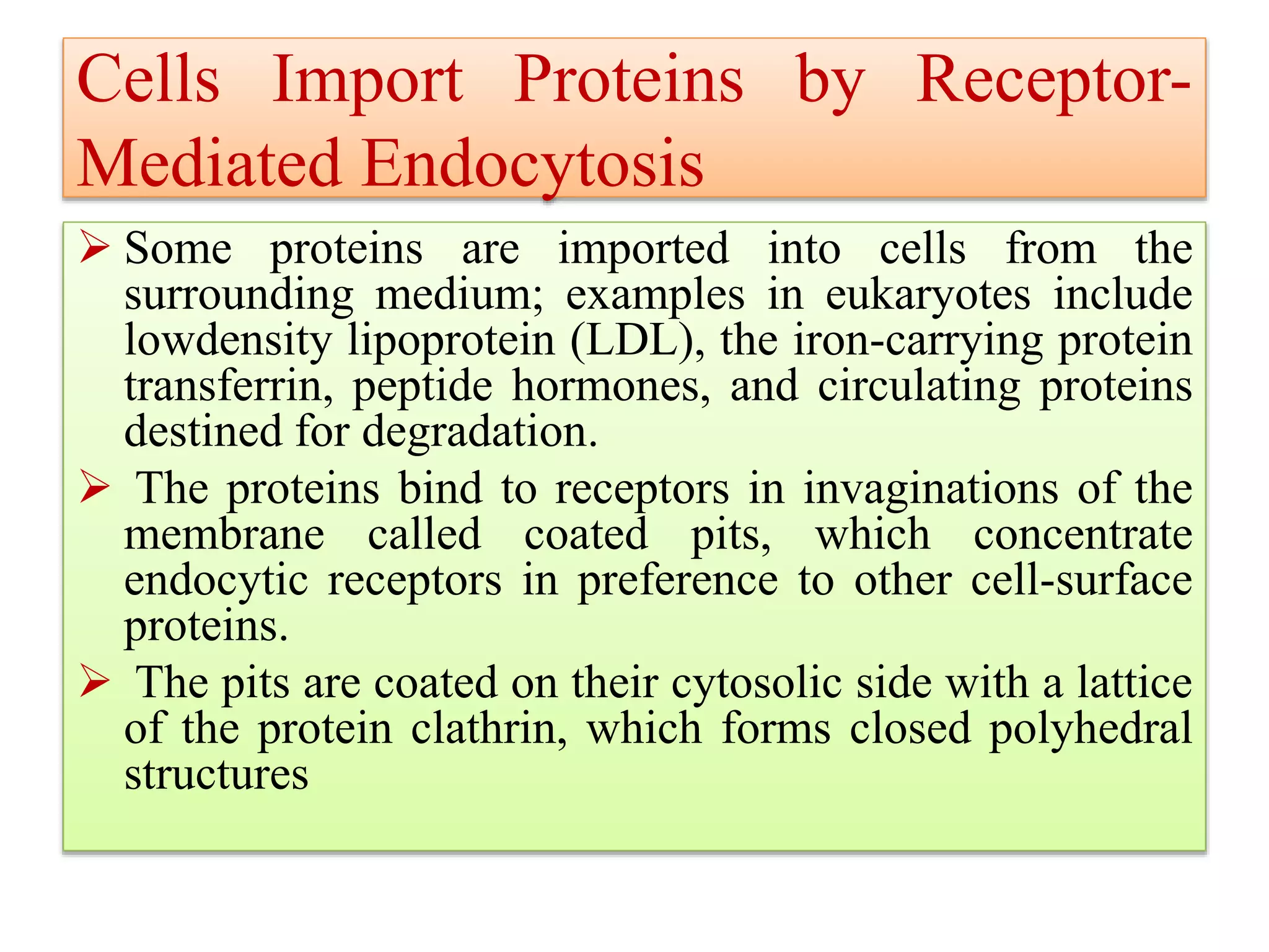 Protein targetting ppt (1) (1) | PPTX