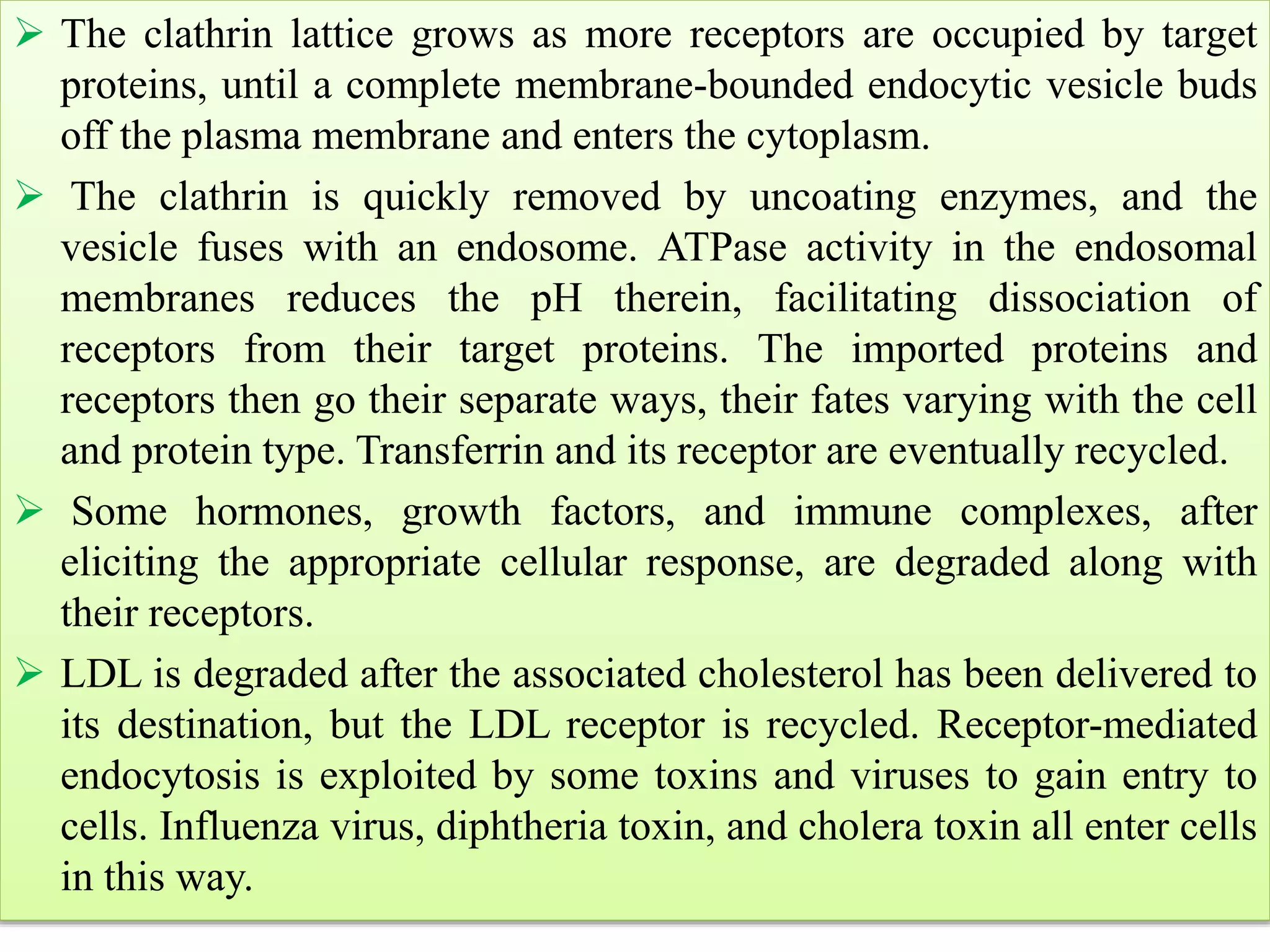 Protein targetting ppt (1) (1) | PPTX