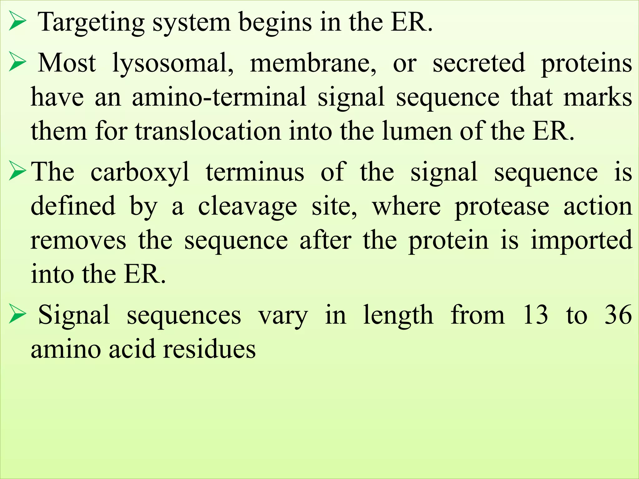 Protein targetting ppt (1) (1) | PPTX