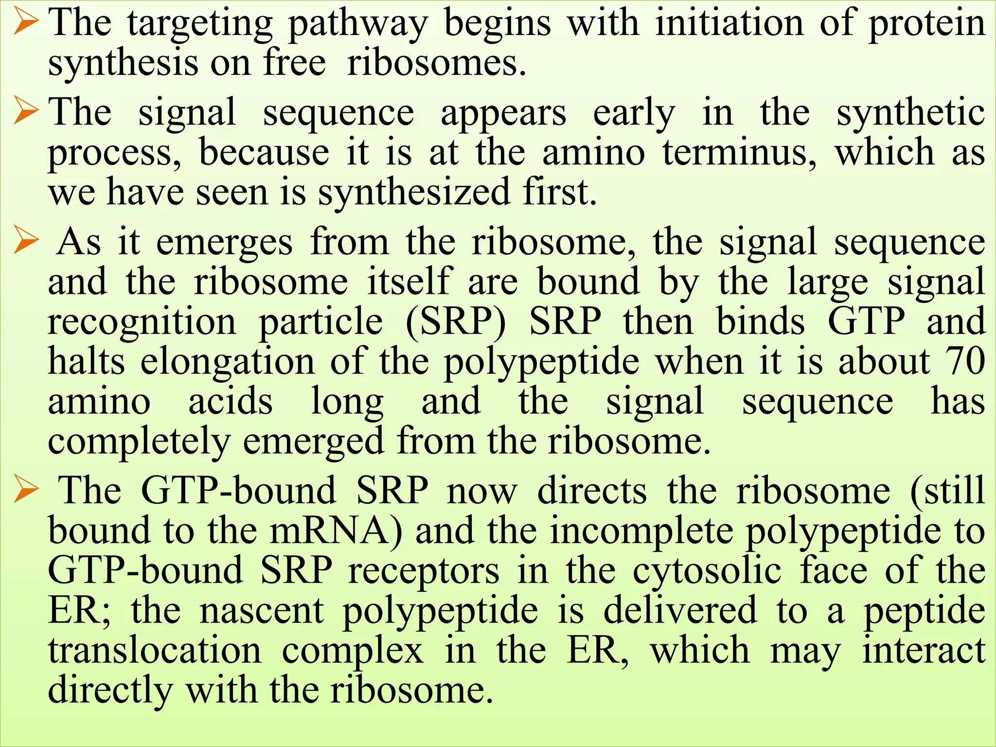 Protein targetting ppt (1) (1) | PPTX
