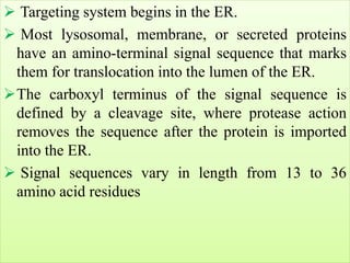 Protein targetting ppt (1) (1) | PPTX