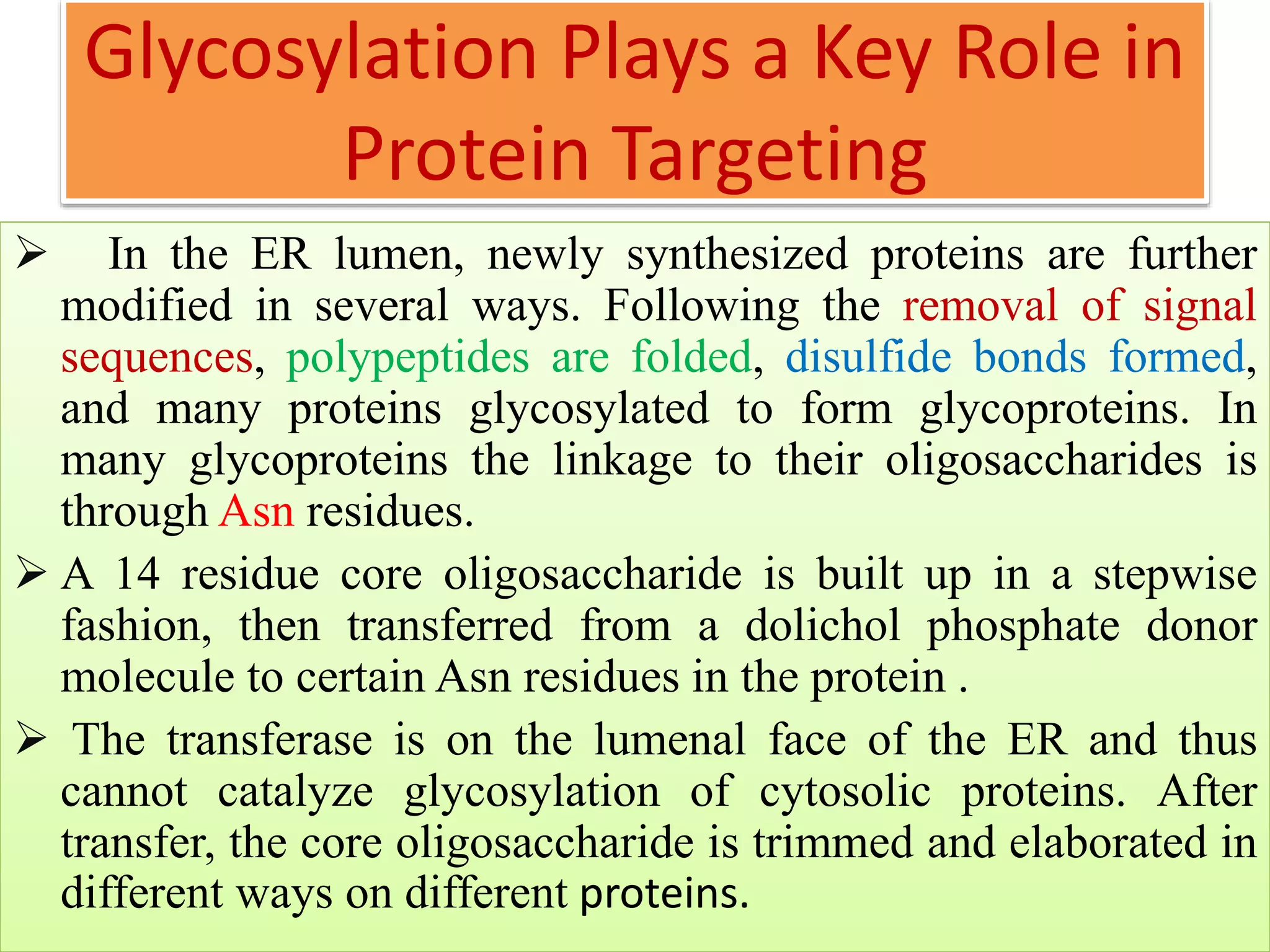 Protein targetting ppt (1) (1) | PPTX