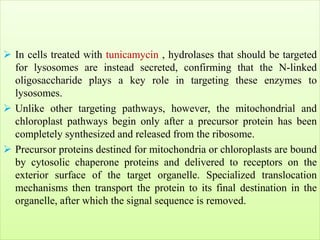 Protein targetting ppt (1) (1) | PPTX