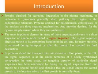 Protein targetting ppt (1) (1) | PPTX