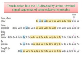 Protein targetting ppt (1) (1) | PPTX