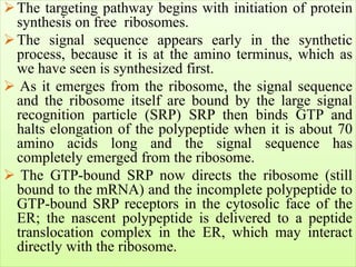 Protein targetting ppt (1) (1) | PPTX
