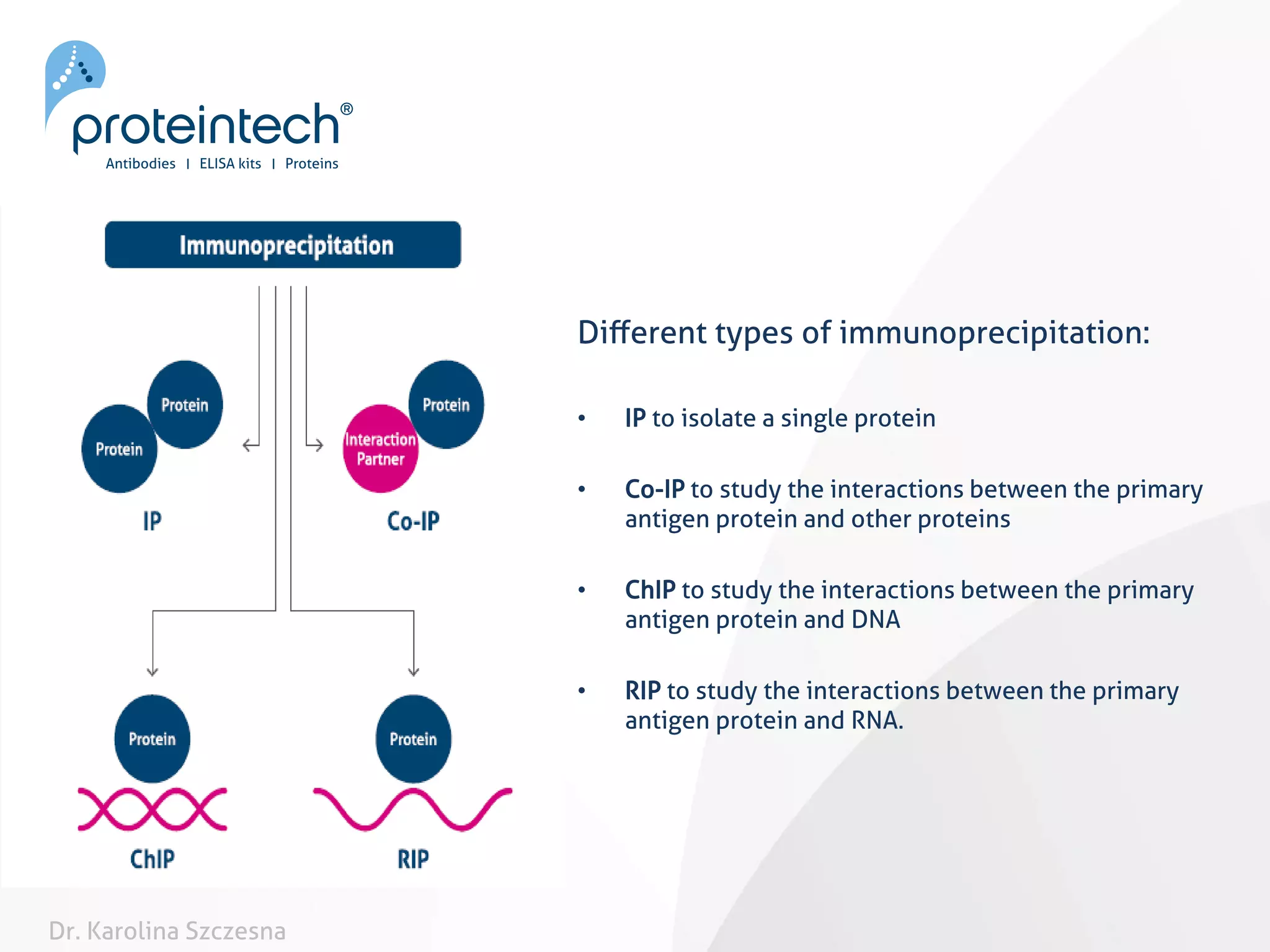 Proteintech ChIP and IP workshop | PDF